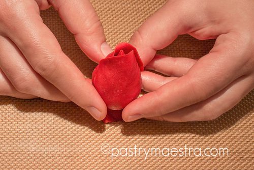 How to Make Fondant Rose, Pastry Maestra